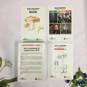 Produkter | Norges sopp- og nyttevekstforbund