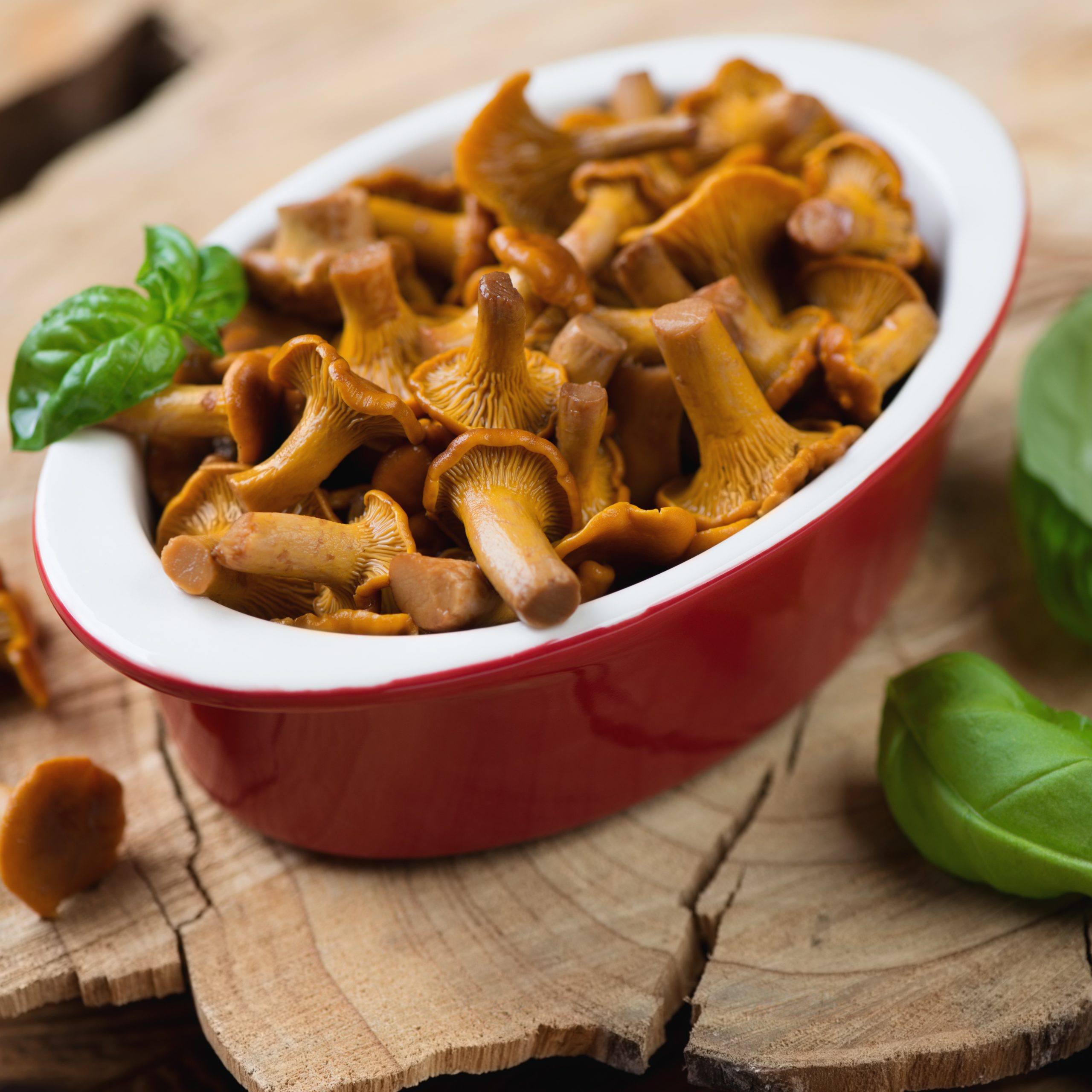 Vinsauterte kantareller | Norges sopp- og nyttevekstforbund