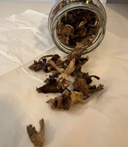 Sommer og høst Arkiver | Norges sopp- og nyttevekstforbund