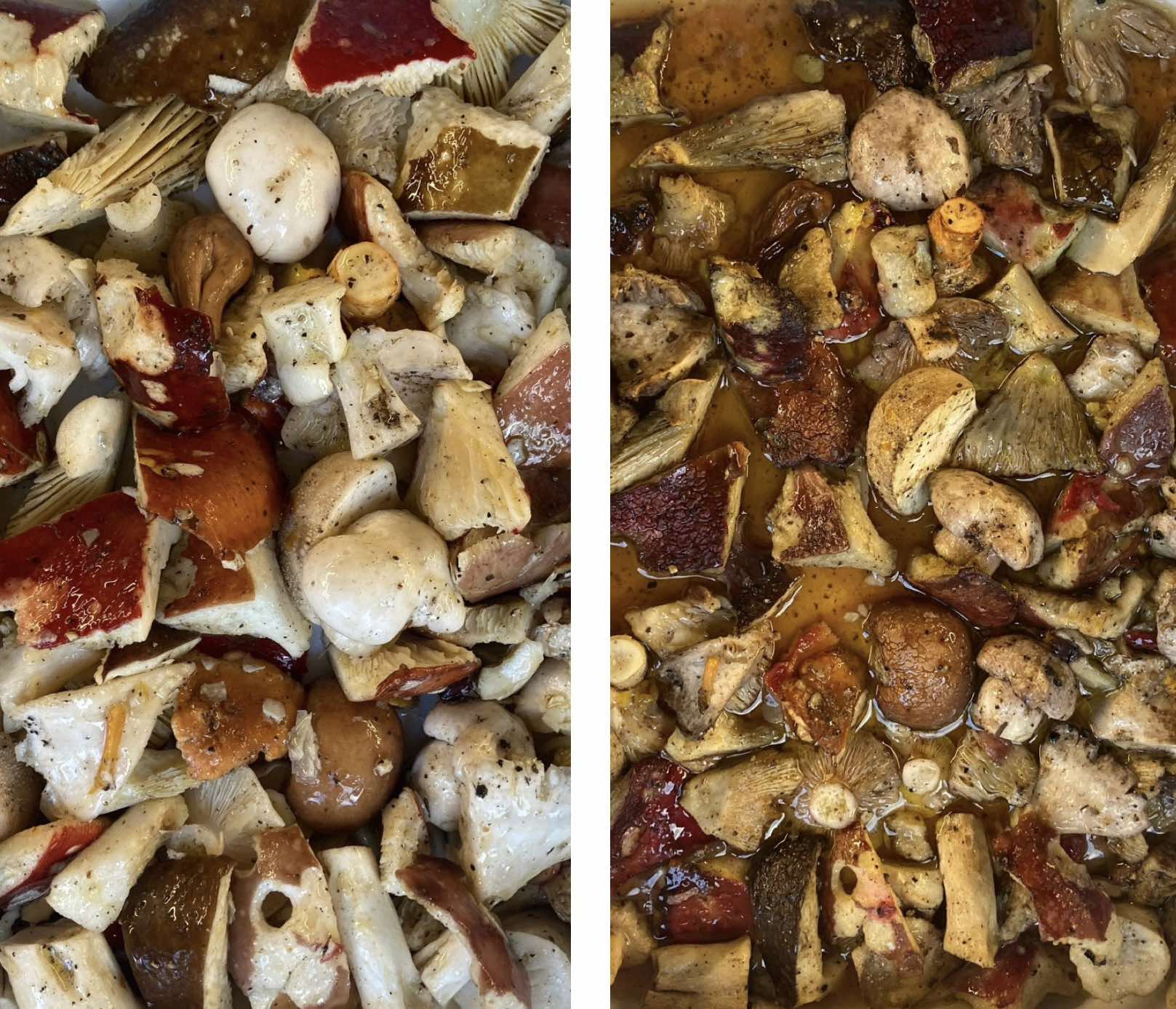 Bakt sopp | Norges sopp- og nyttevekstforbund